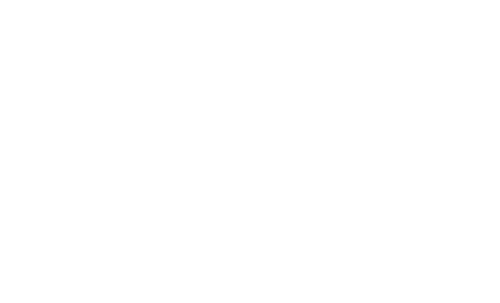 The Moose Shop