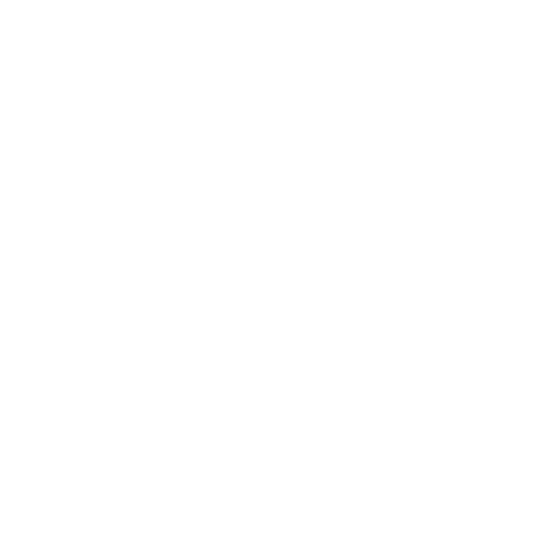 Irreverent Warriors