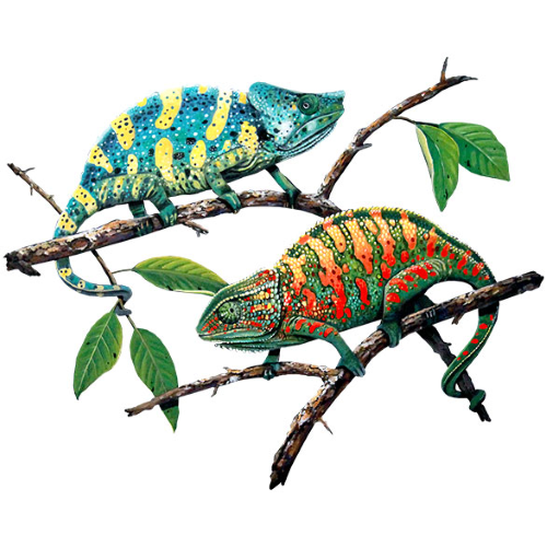 CHAMELEON II (SOLARTRANS) Not Applicable | Custom and Stock Heat ...