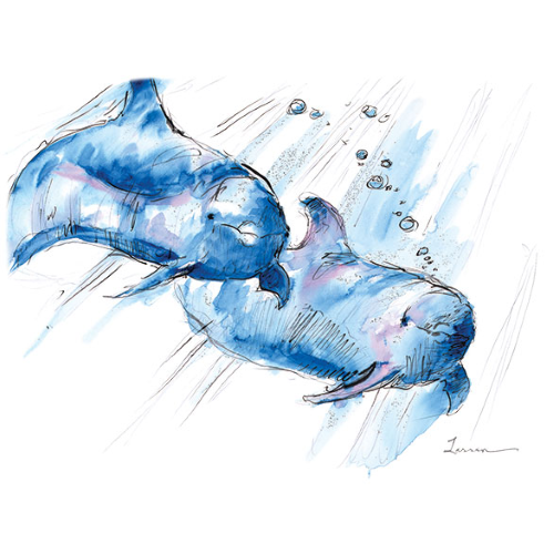 Custom and Stock Heat Transfers | Art Brands