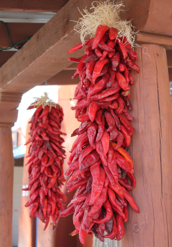 red chili ristras coloring pages