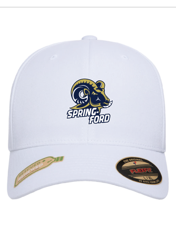 Spring-Ford Home & School