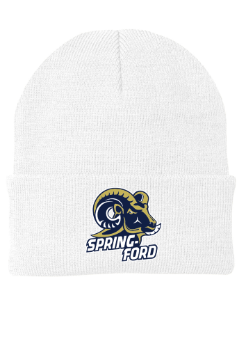 Spring-Ford Home & School