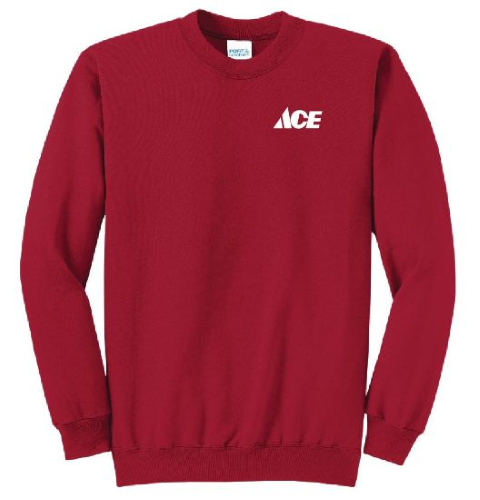 Ace Store