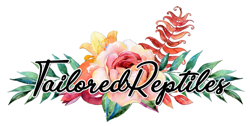 Tailored Reptiles Tailored Reptiles