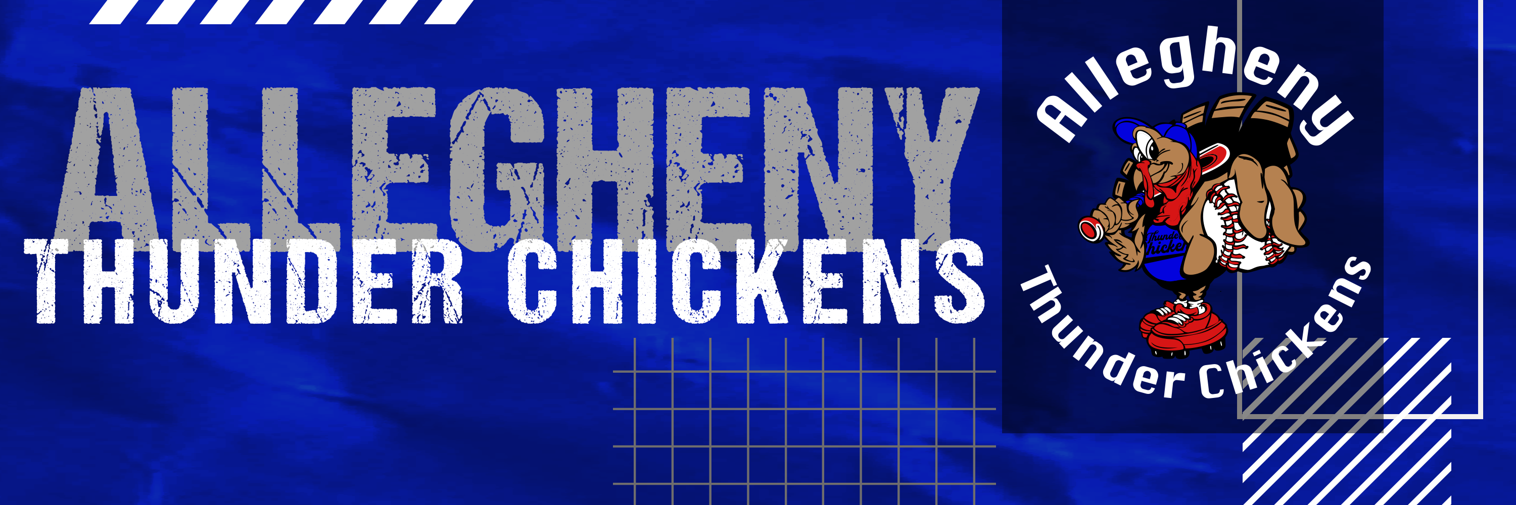 Allegheny Thunder Chickens