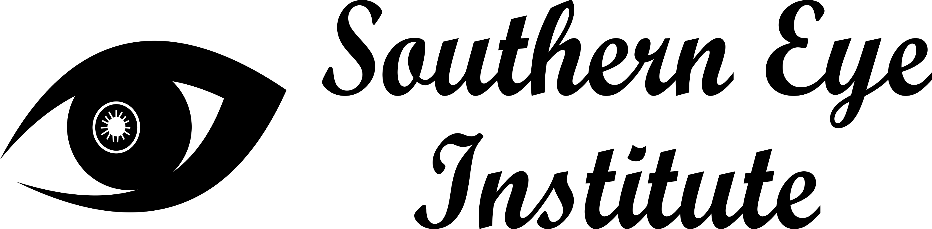 Southern Eye Institute