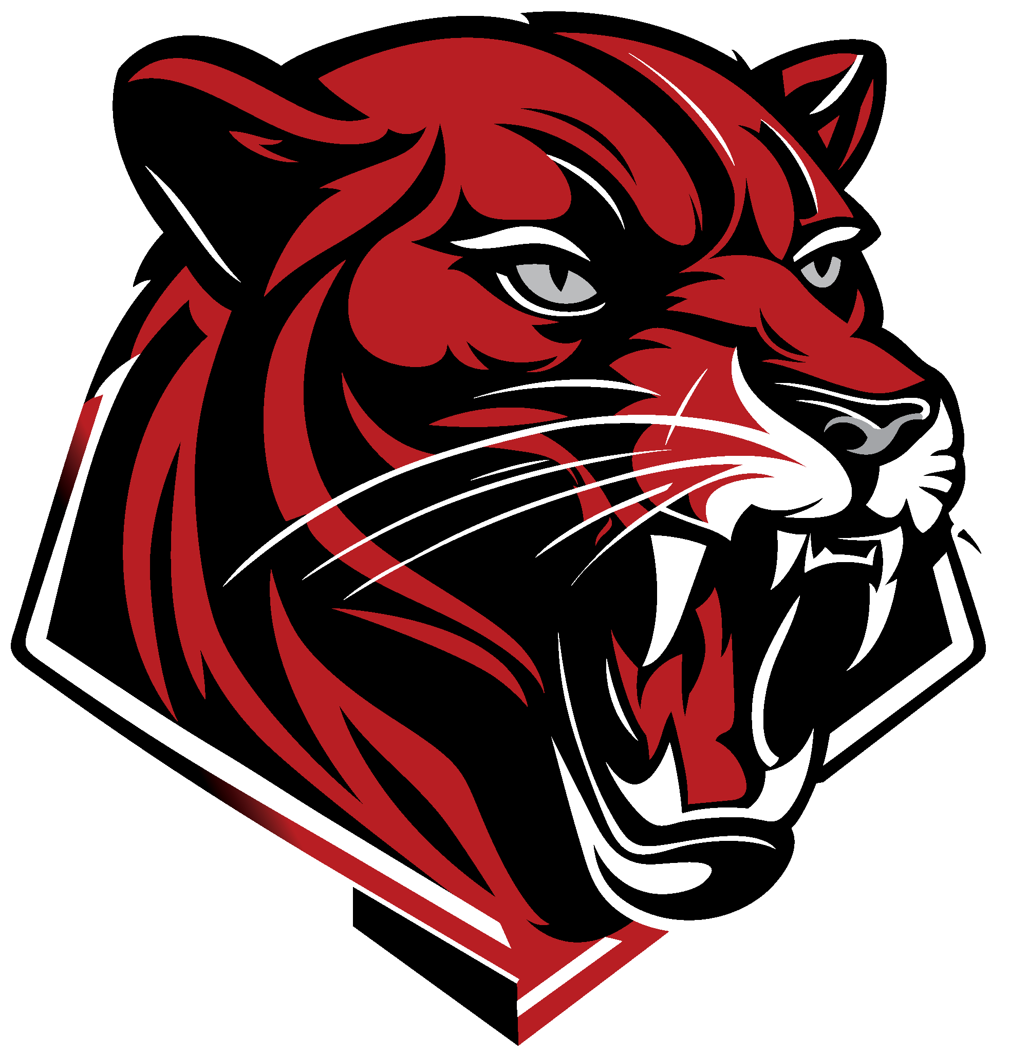 Mill Creek Youth Football