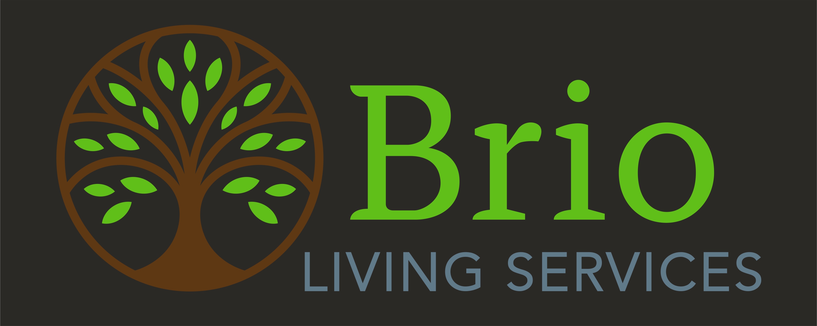 Brio Living Services