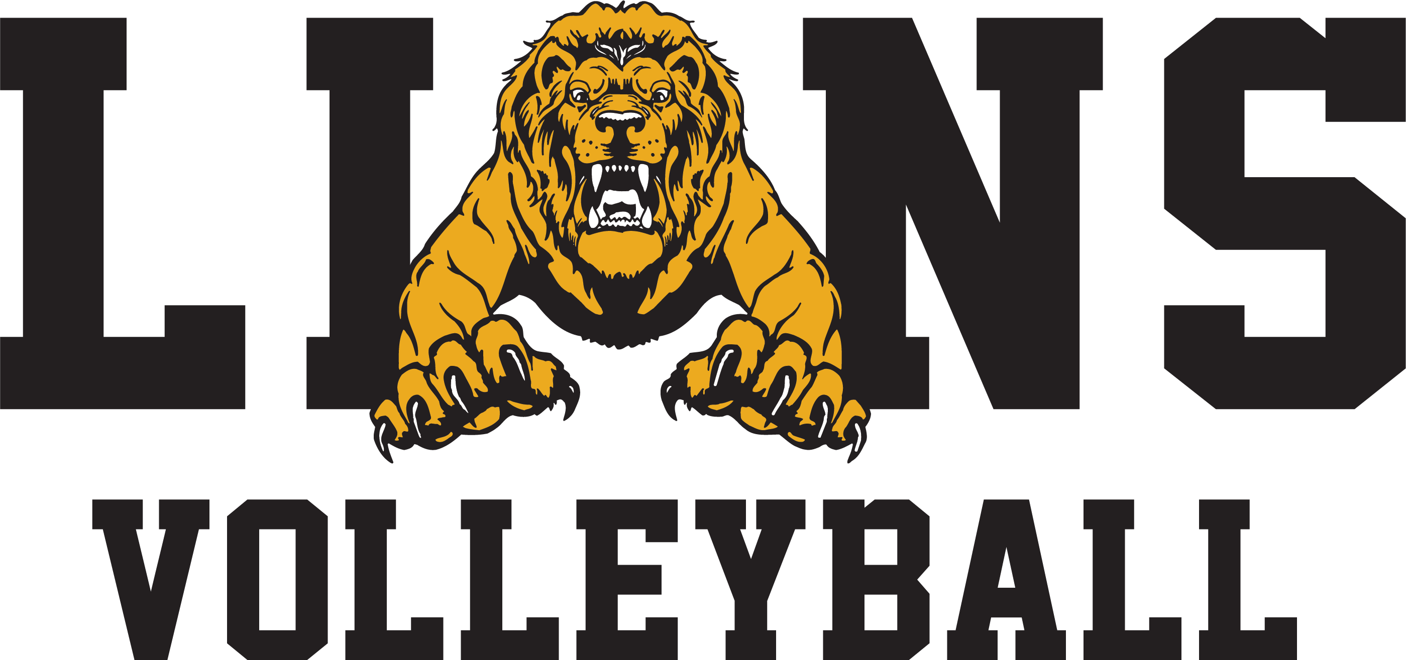 Lions Volleyball
