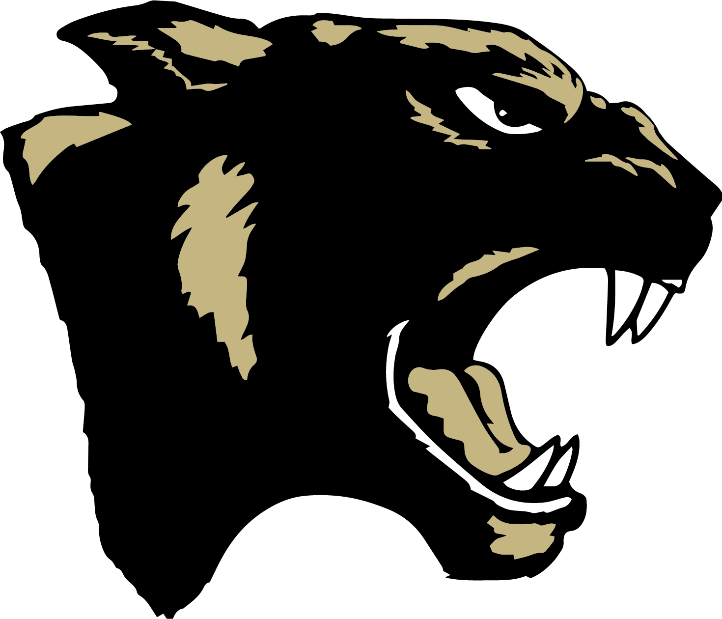 Carol Stream Panthers