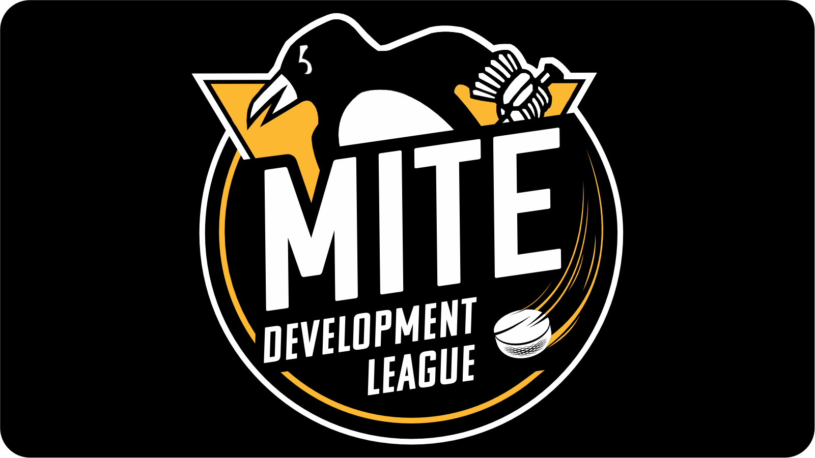 UPMC Lemieux Sports Complex Mite Development League
