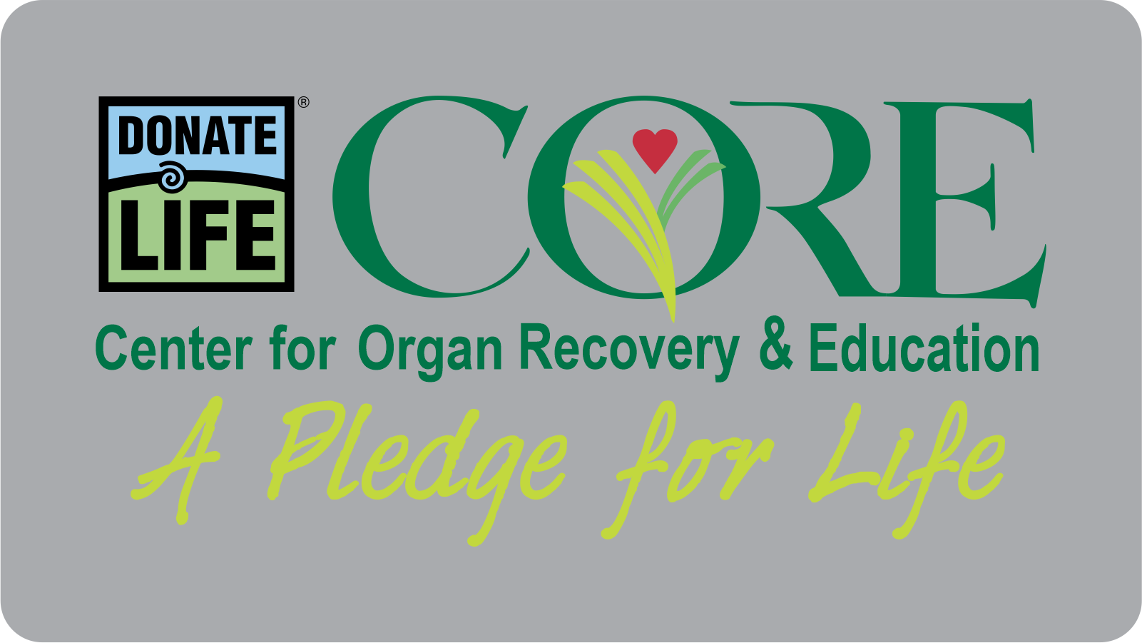 Center for Organ Recovery and Education