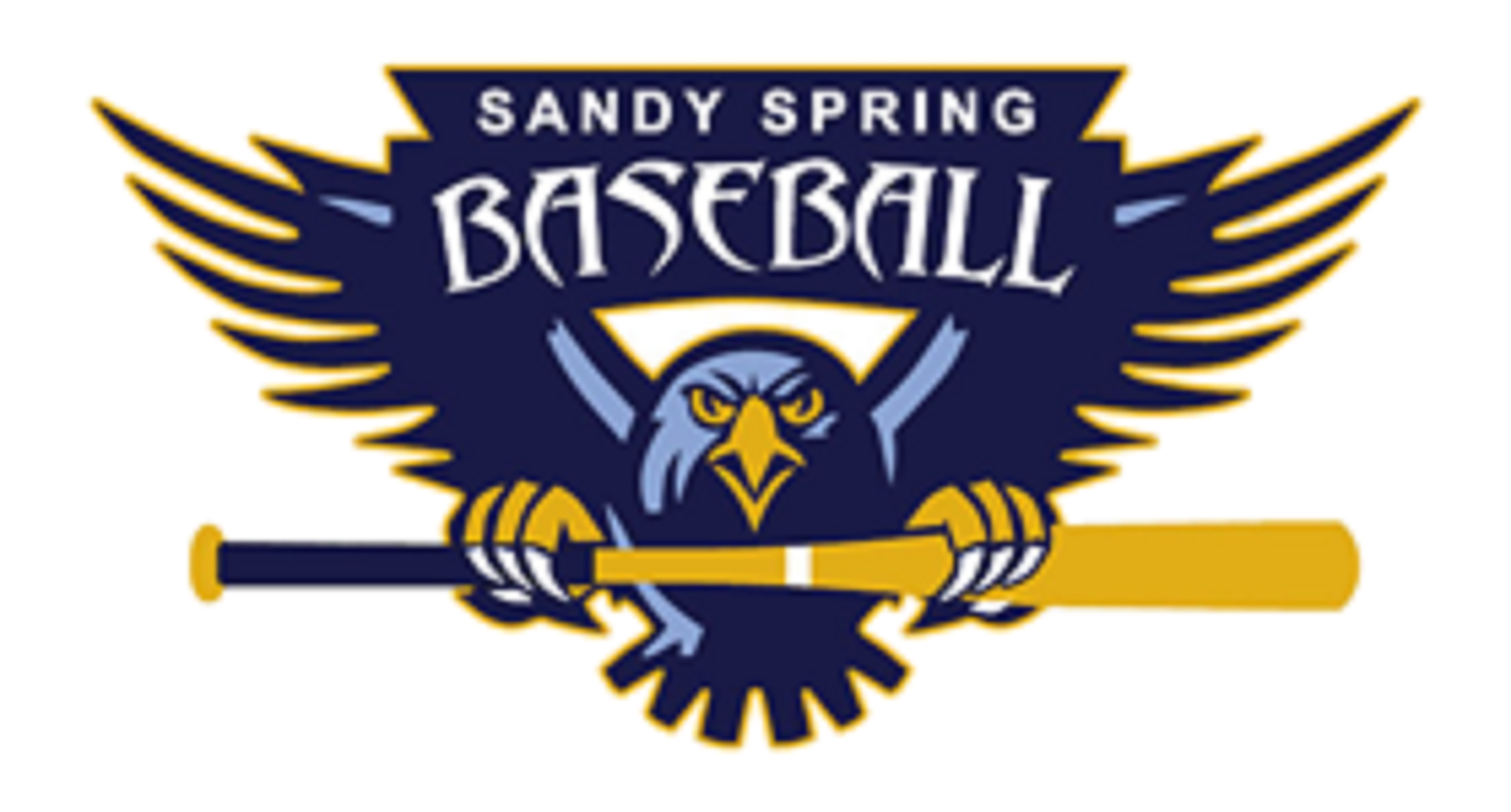 SS Falcons Baseball Uniforms