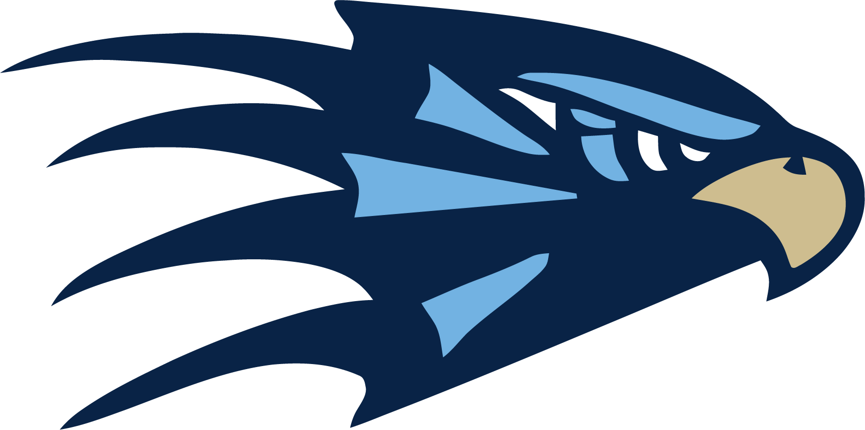 Sandy Spring Falcons