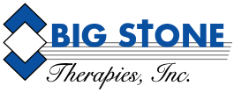 Big Stone Therapies