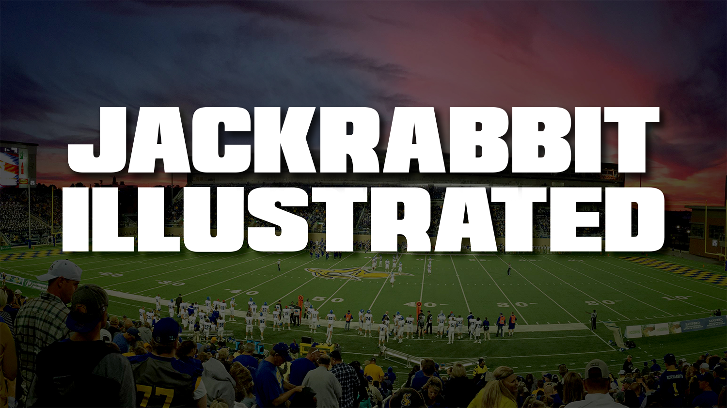 Jackrabbit Illustrated