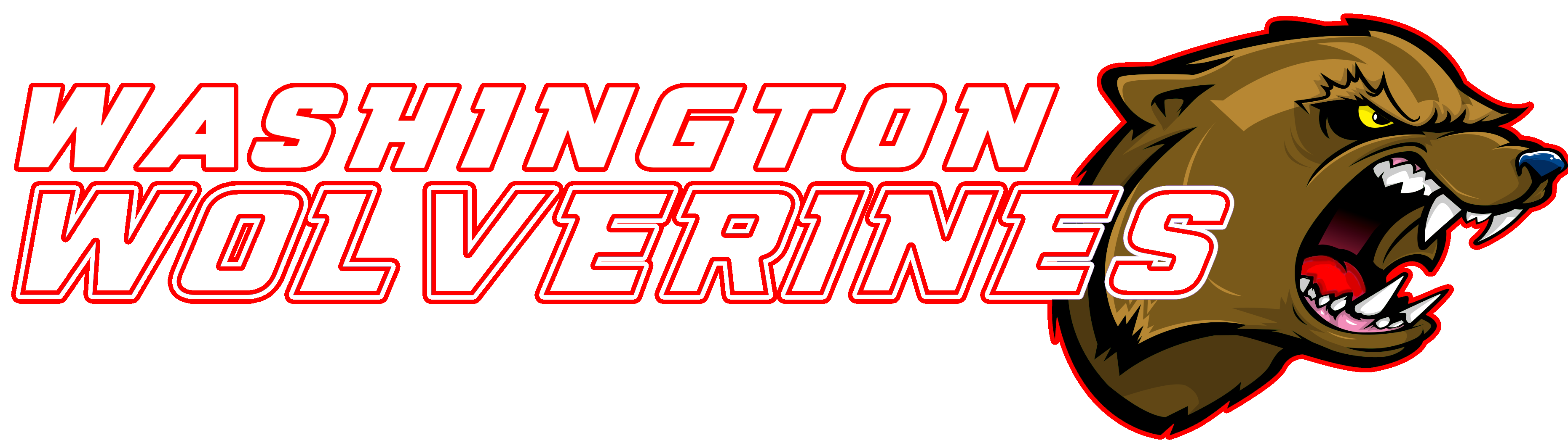 Washington Wolverines