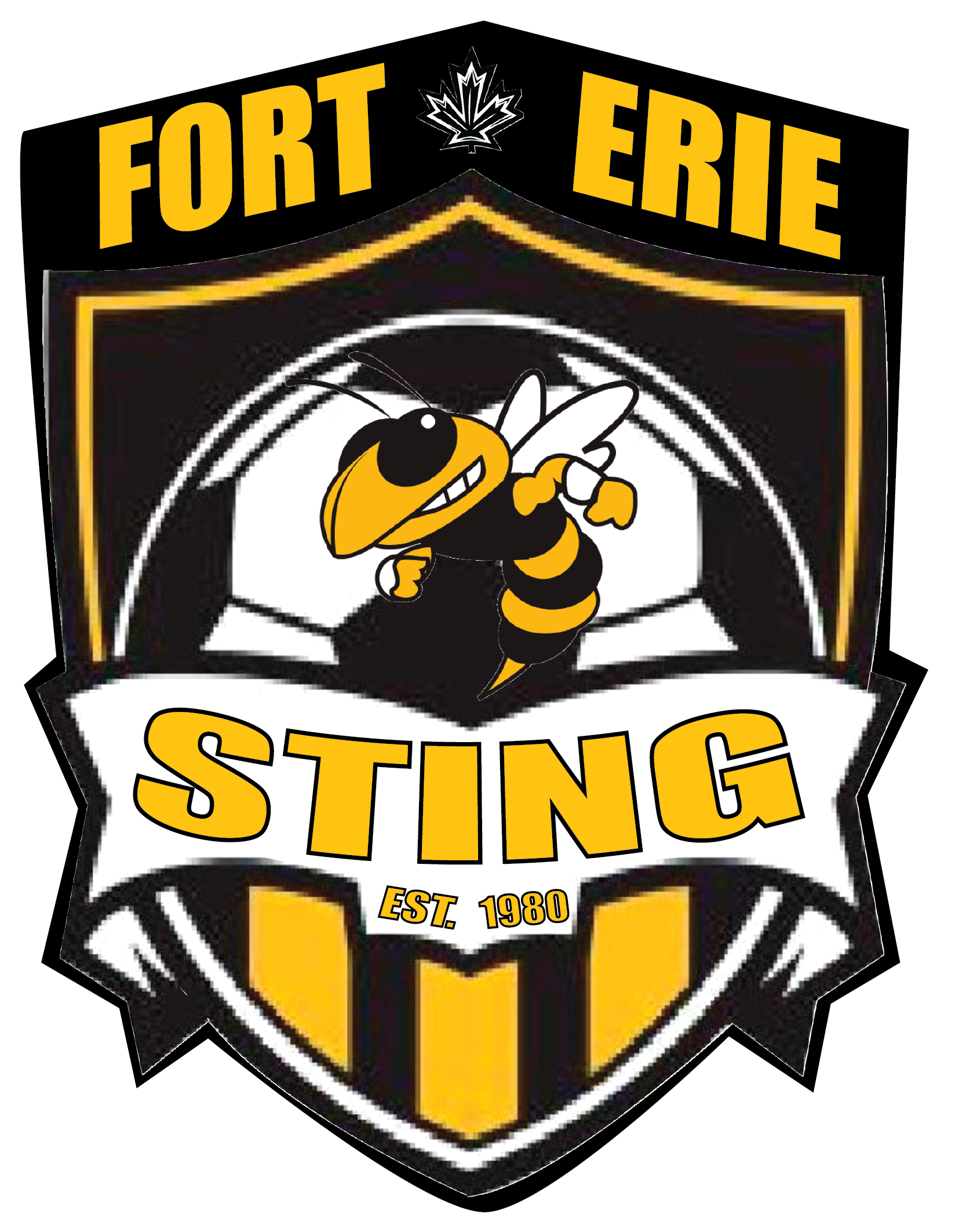 Fort Erie Sting Soccer Club Online Store