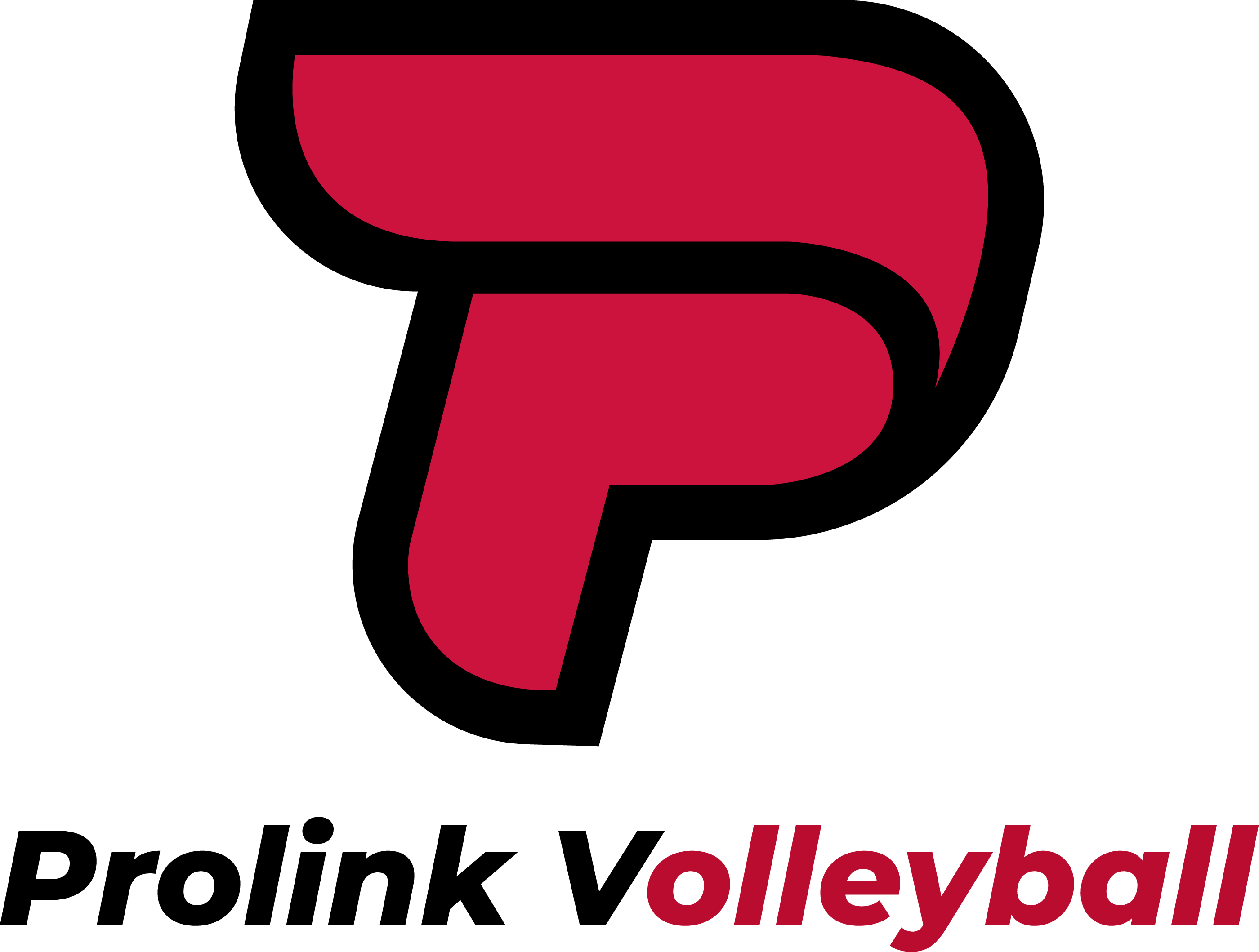 Prolink Volleyball Club