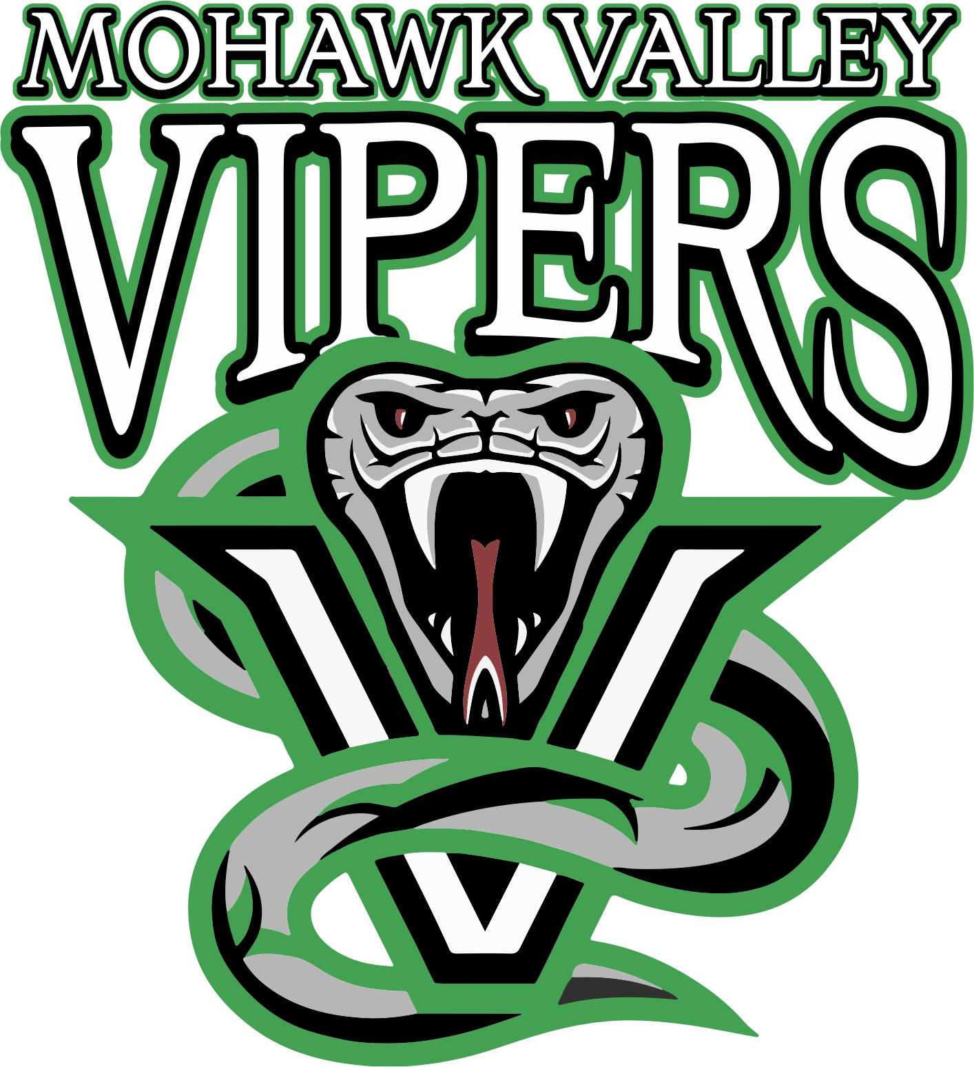 Mohawk Valley Vipers