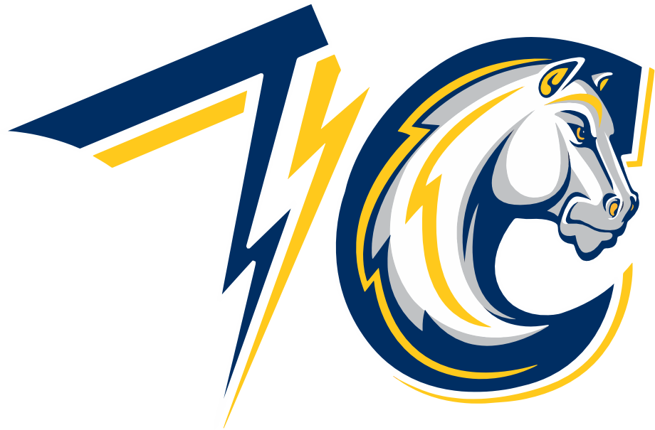 TC CHARGERS