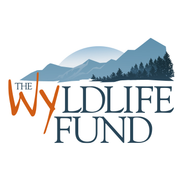 The WYldLife Fund