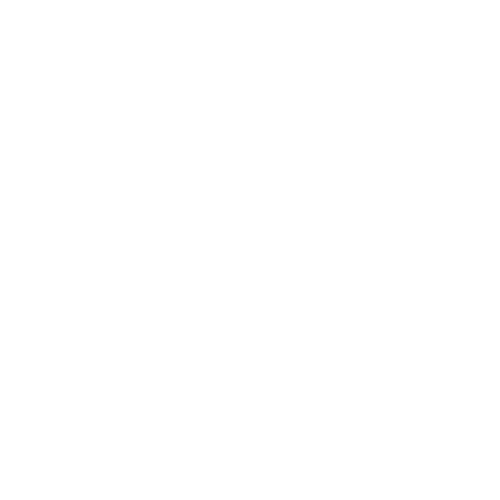 THE GRIT GAME