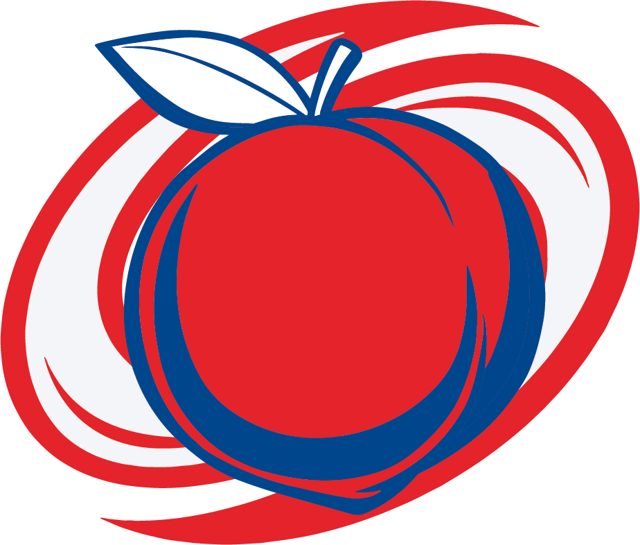 Team Georgia Online Store