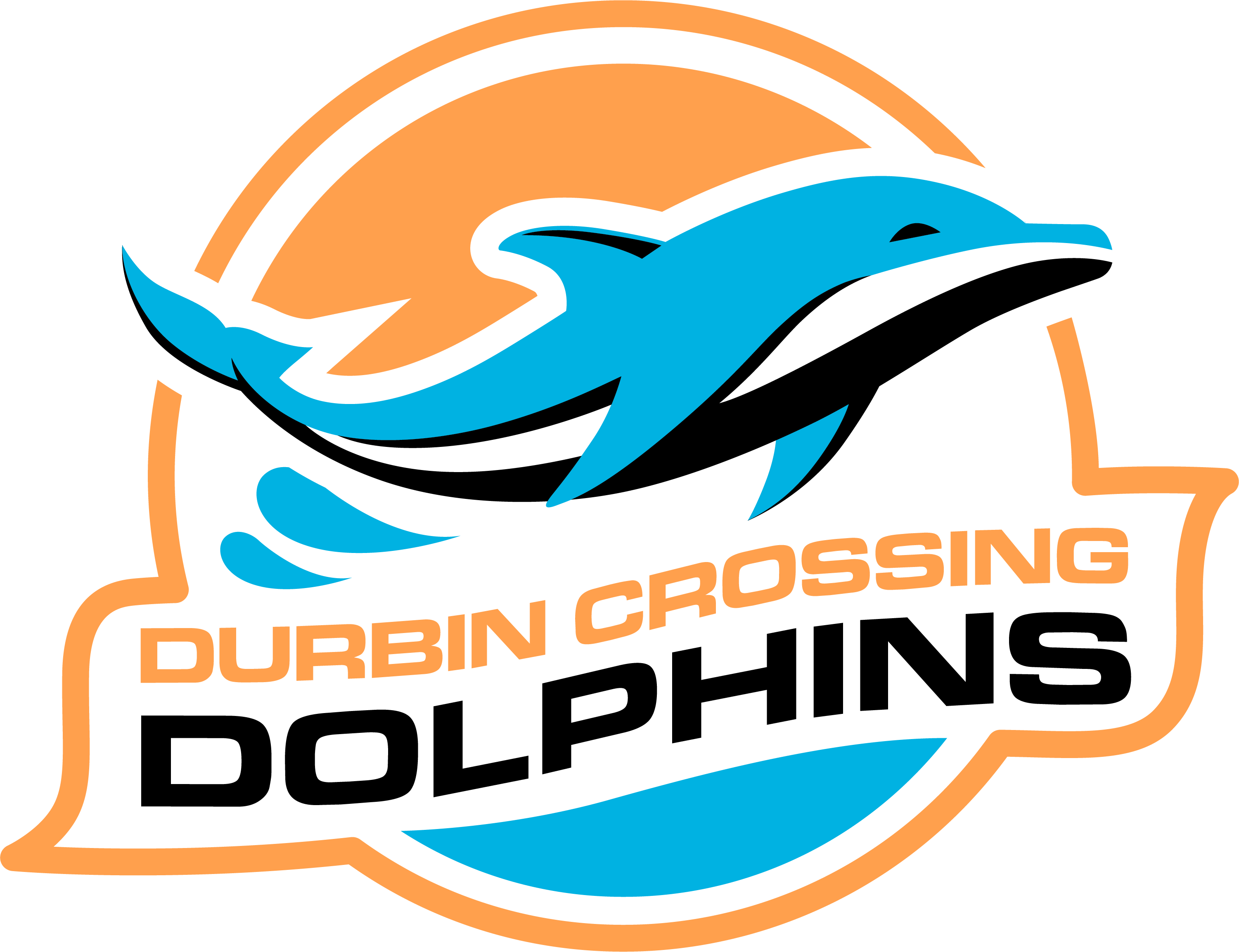 Durbin Crossing Dolphins
