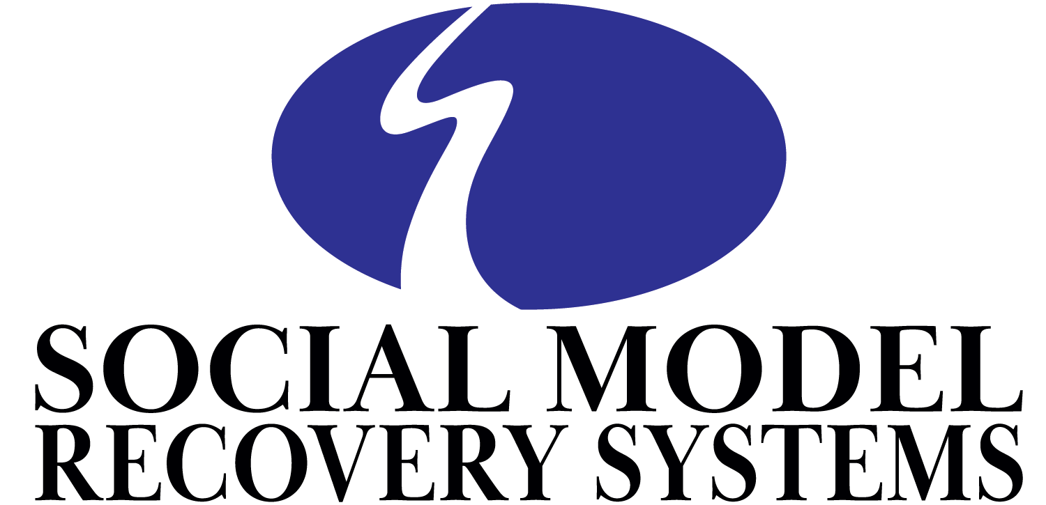 Social Model Recovery Systems