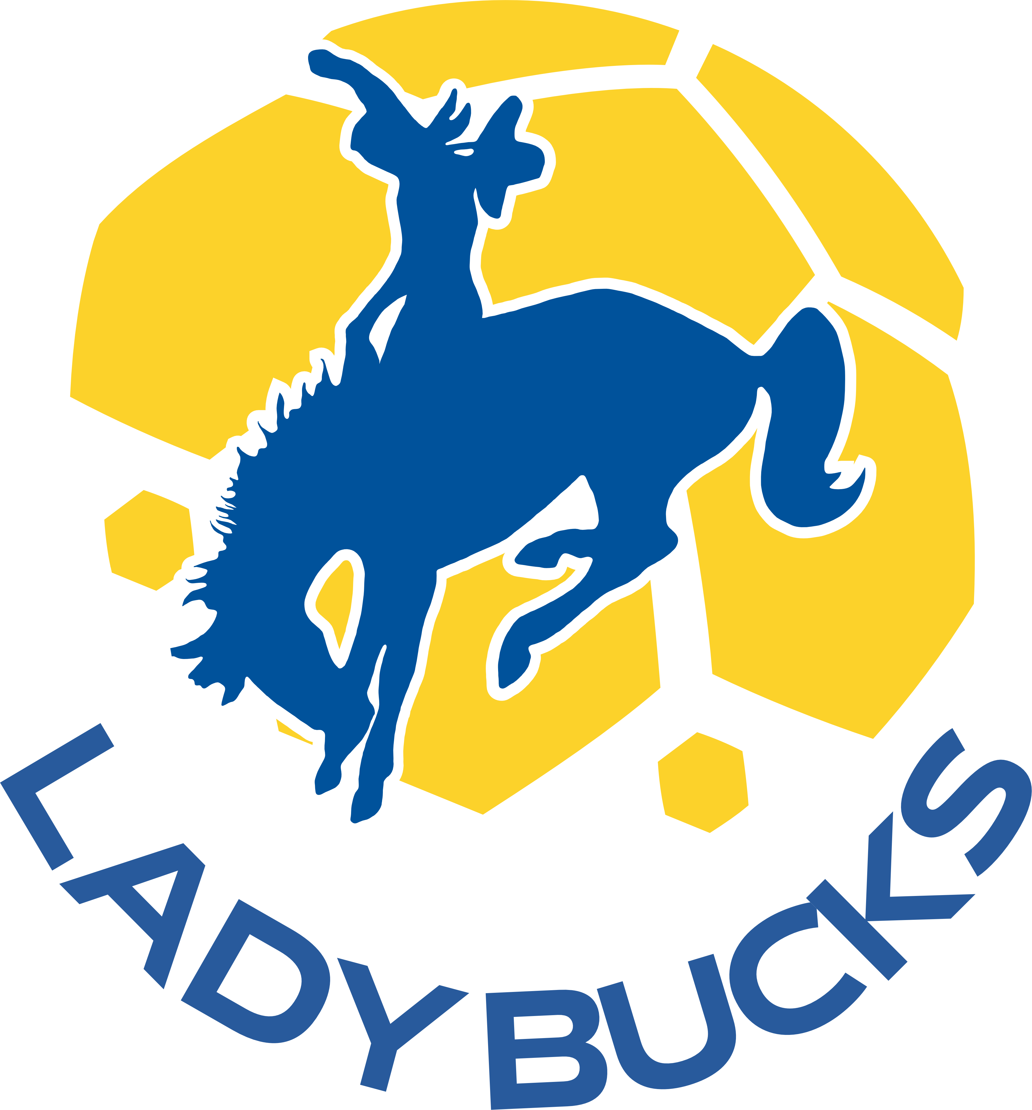 Lowry High School Girls Soccer