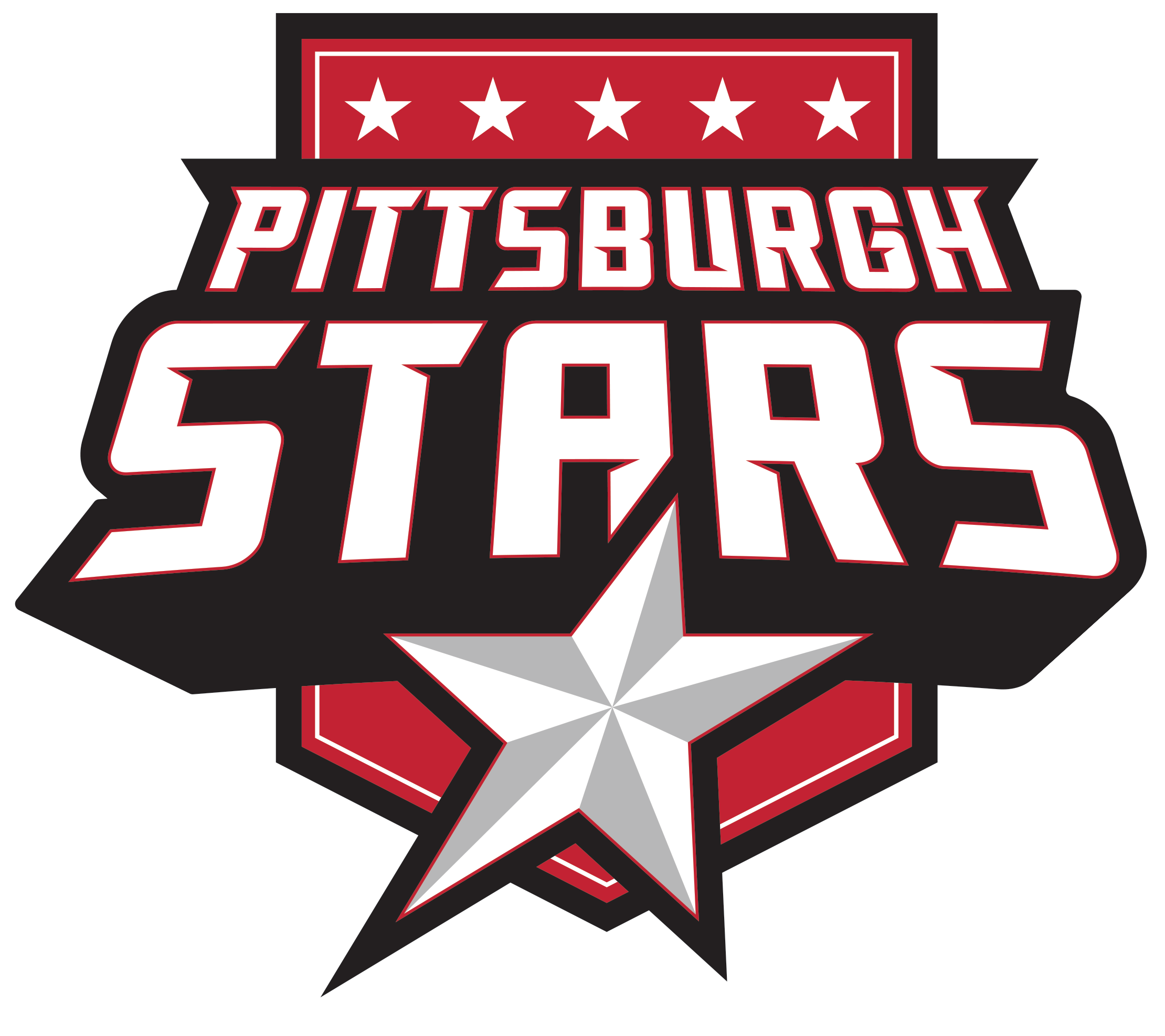 Pittsburgh Stars Hockey