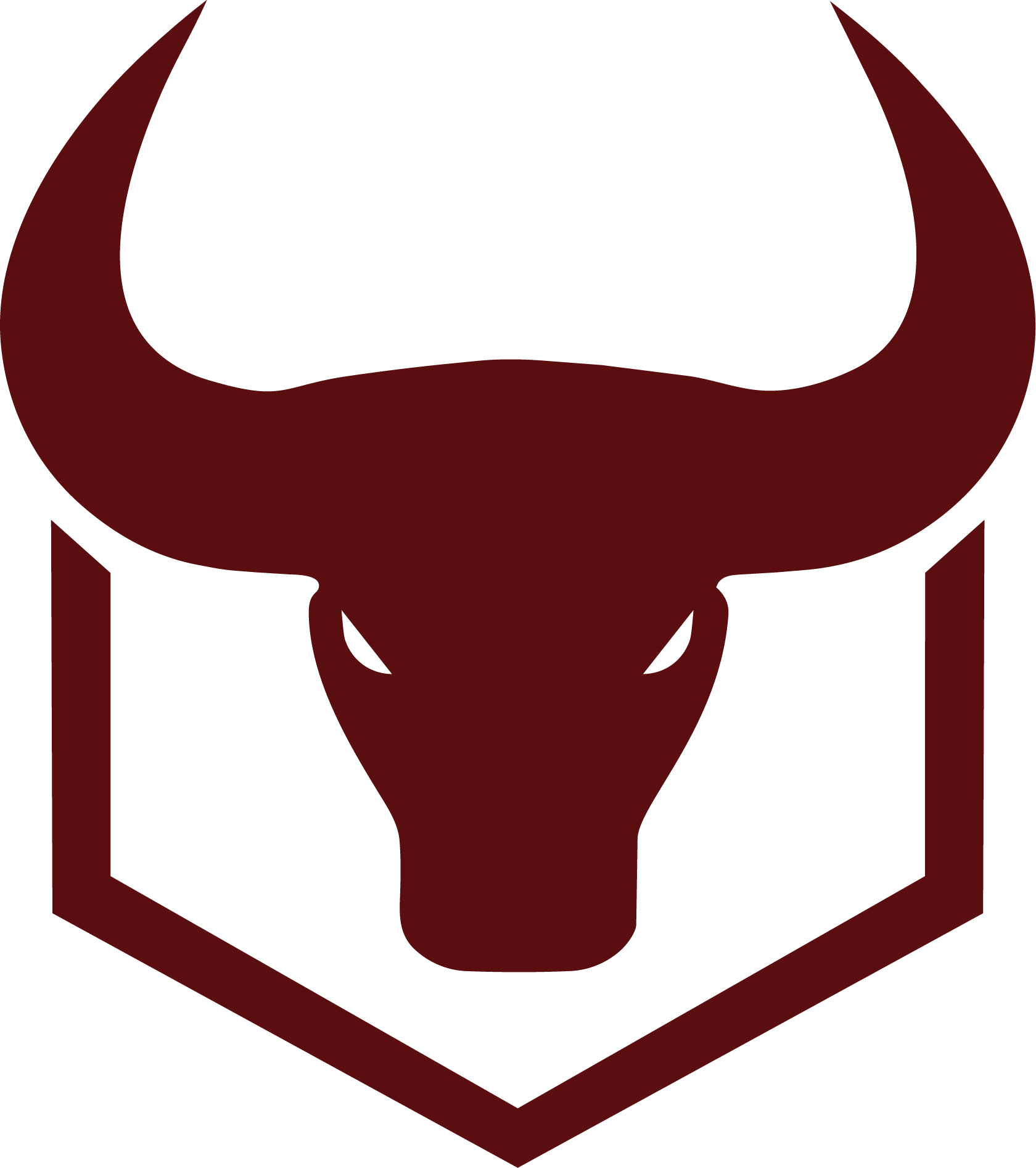 Toros Baseball Fan Gear