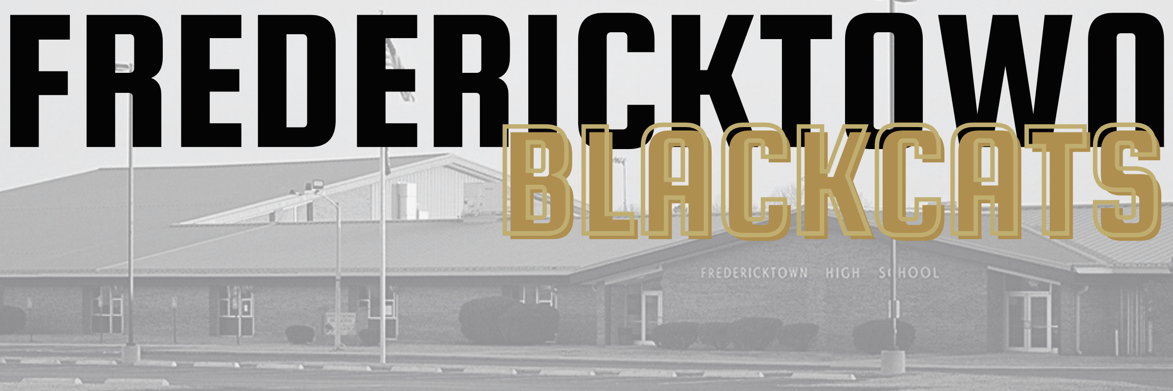 Fredericktown School District
