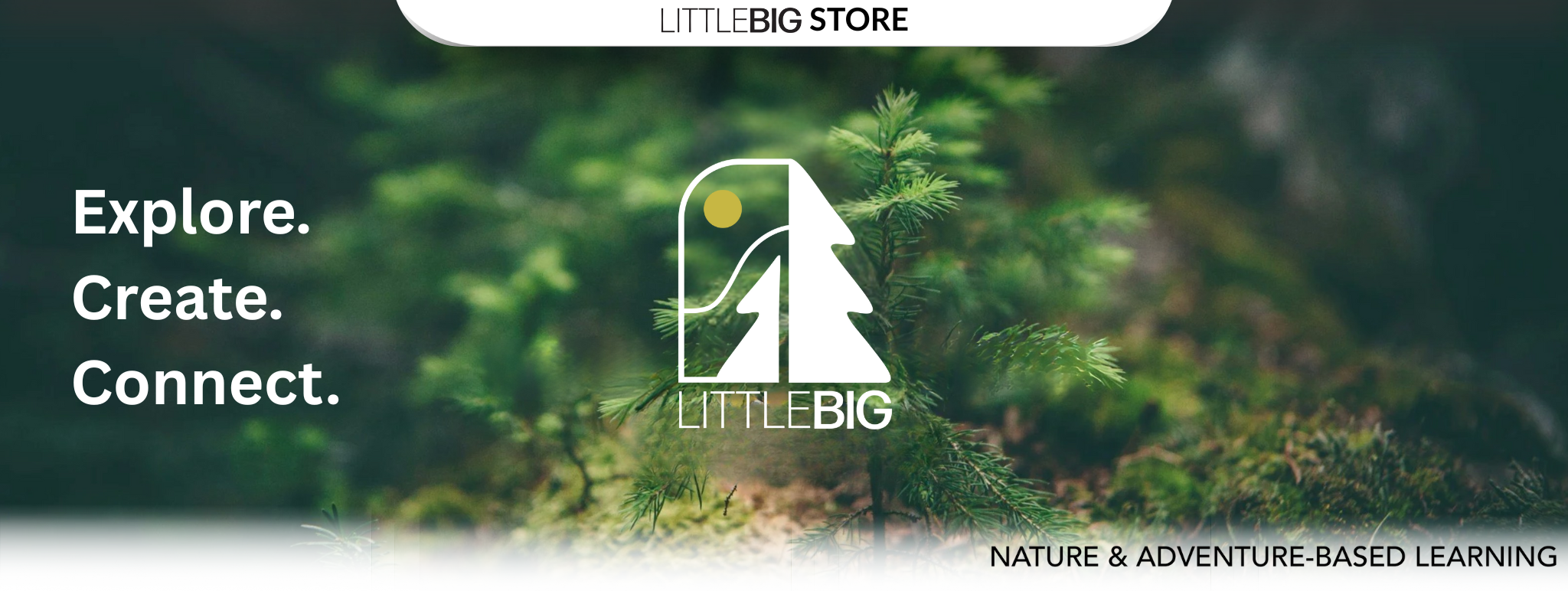Little Big Store