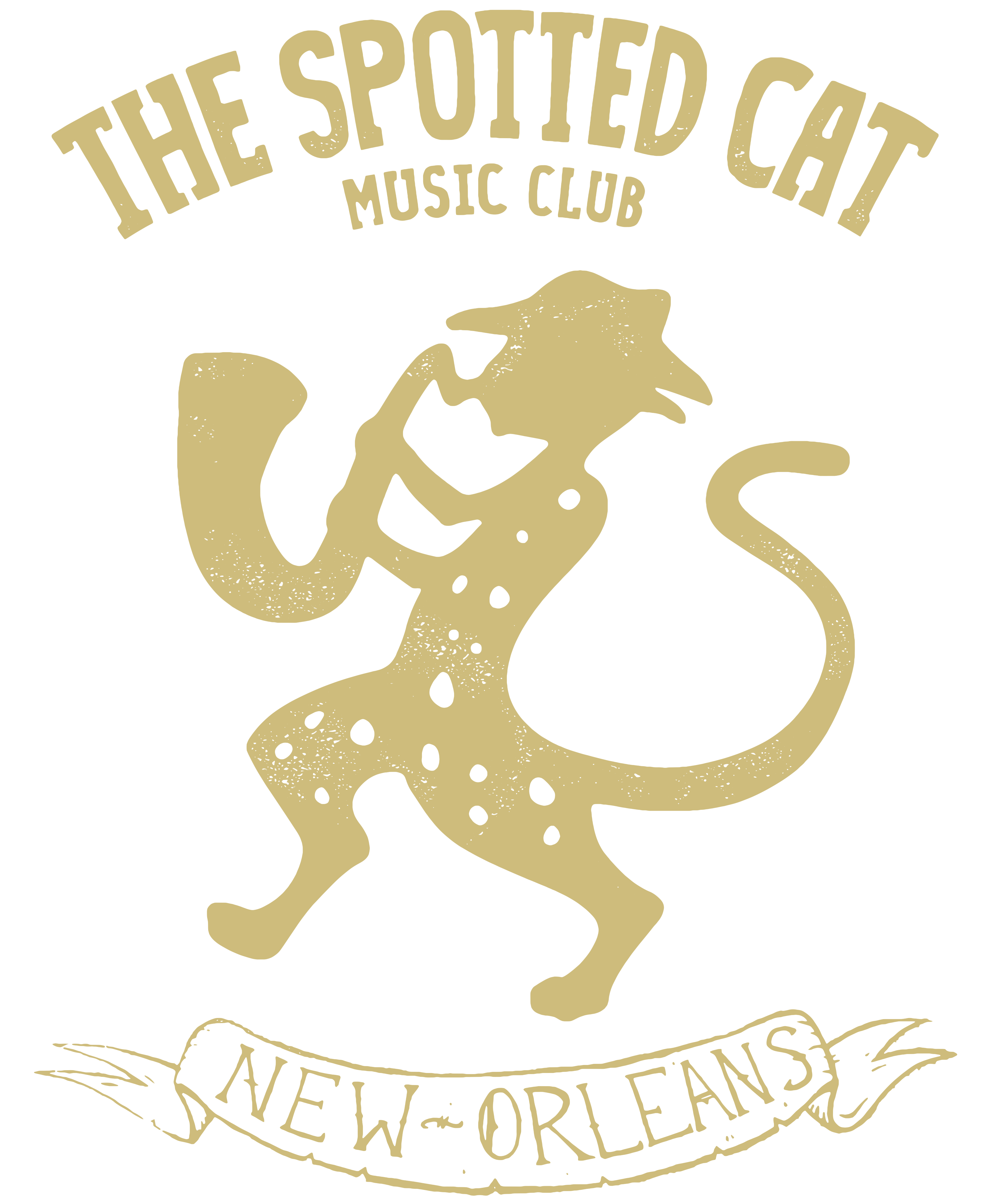 The Spotted Cat Tee Heathered Charcoal | District Young Mens Very ...