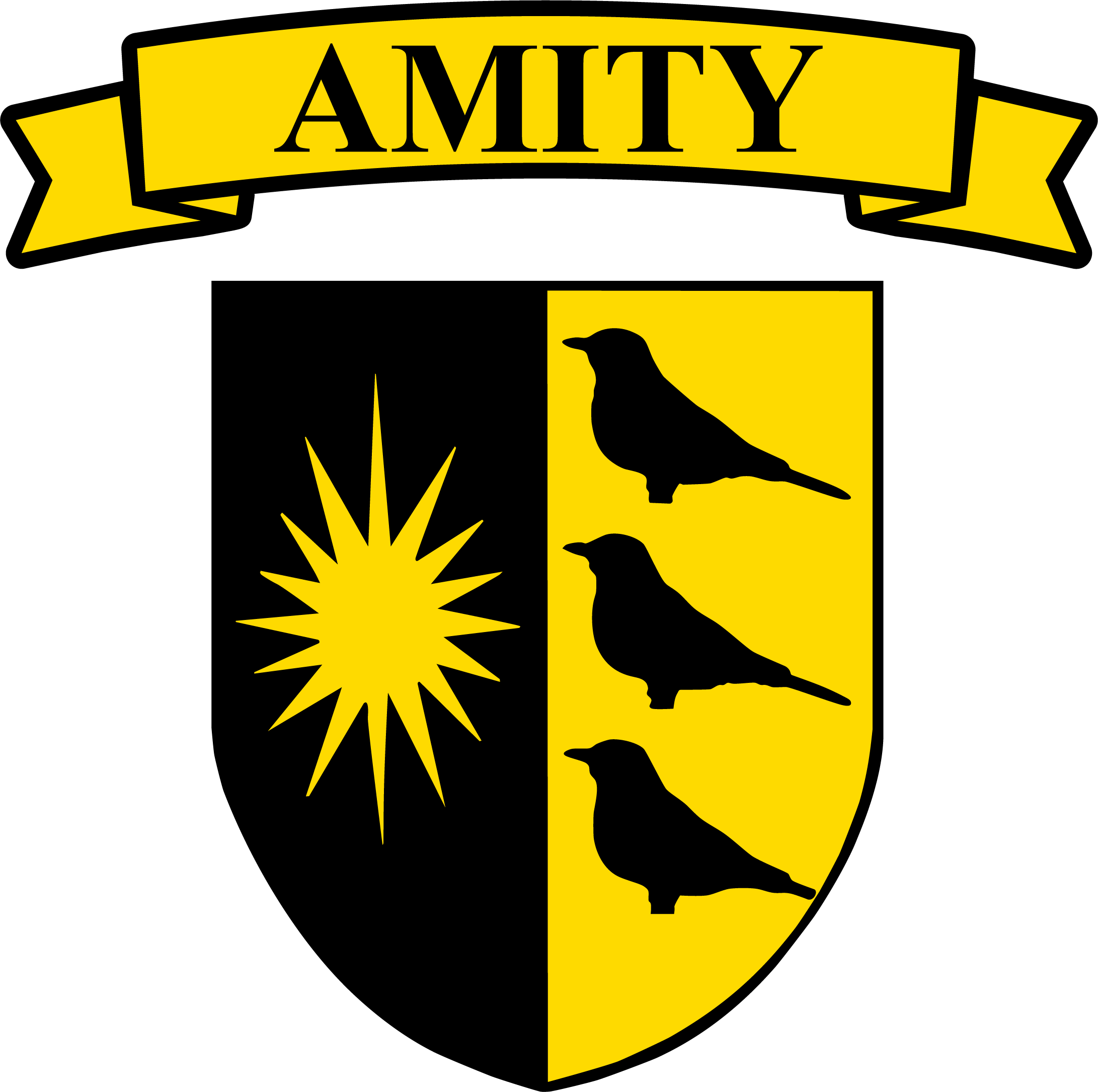 Amity Region 5
