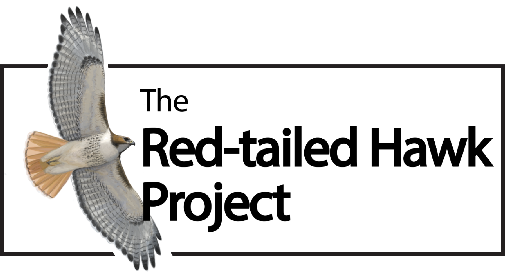 The Red-tailed Hawk Project