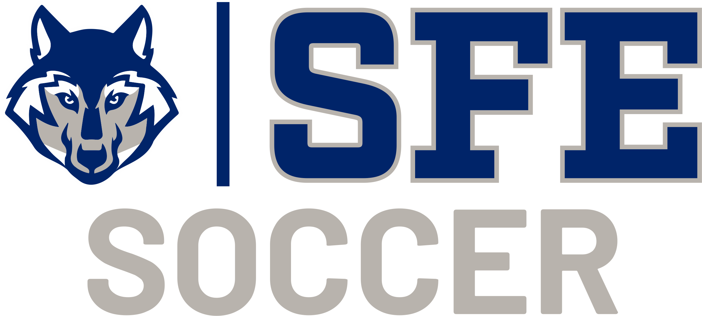 SFE Soccer