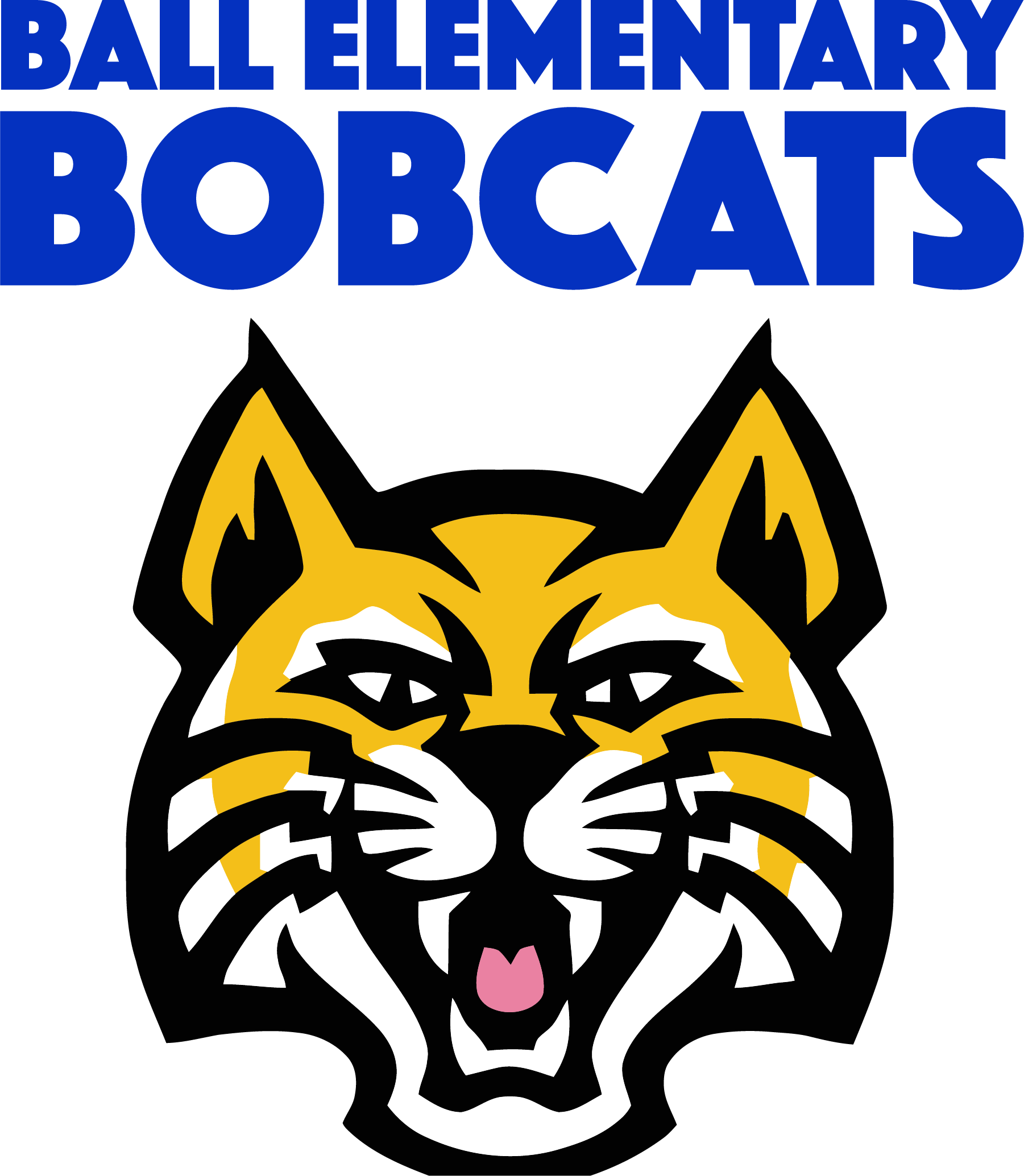 Ball Elementary Spirit