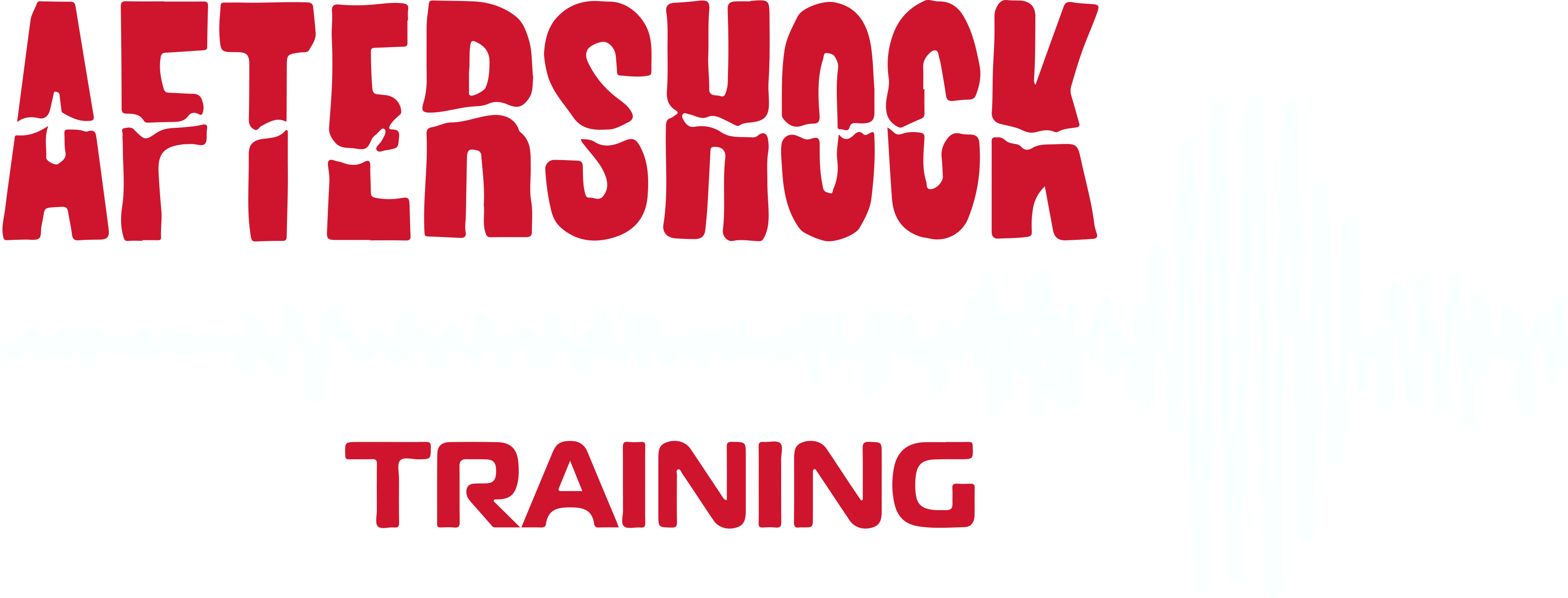 Aftershock Training