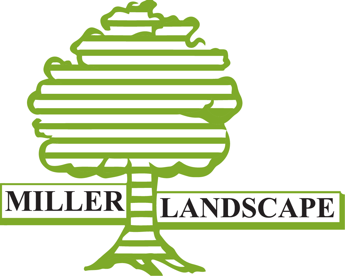 Miller Landscape