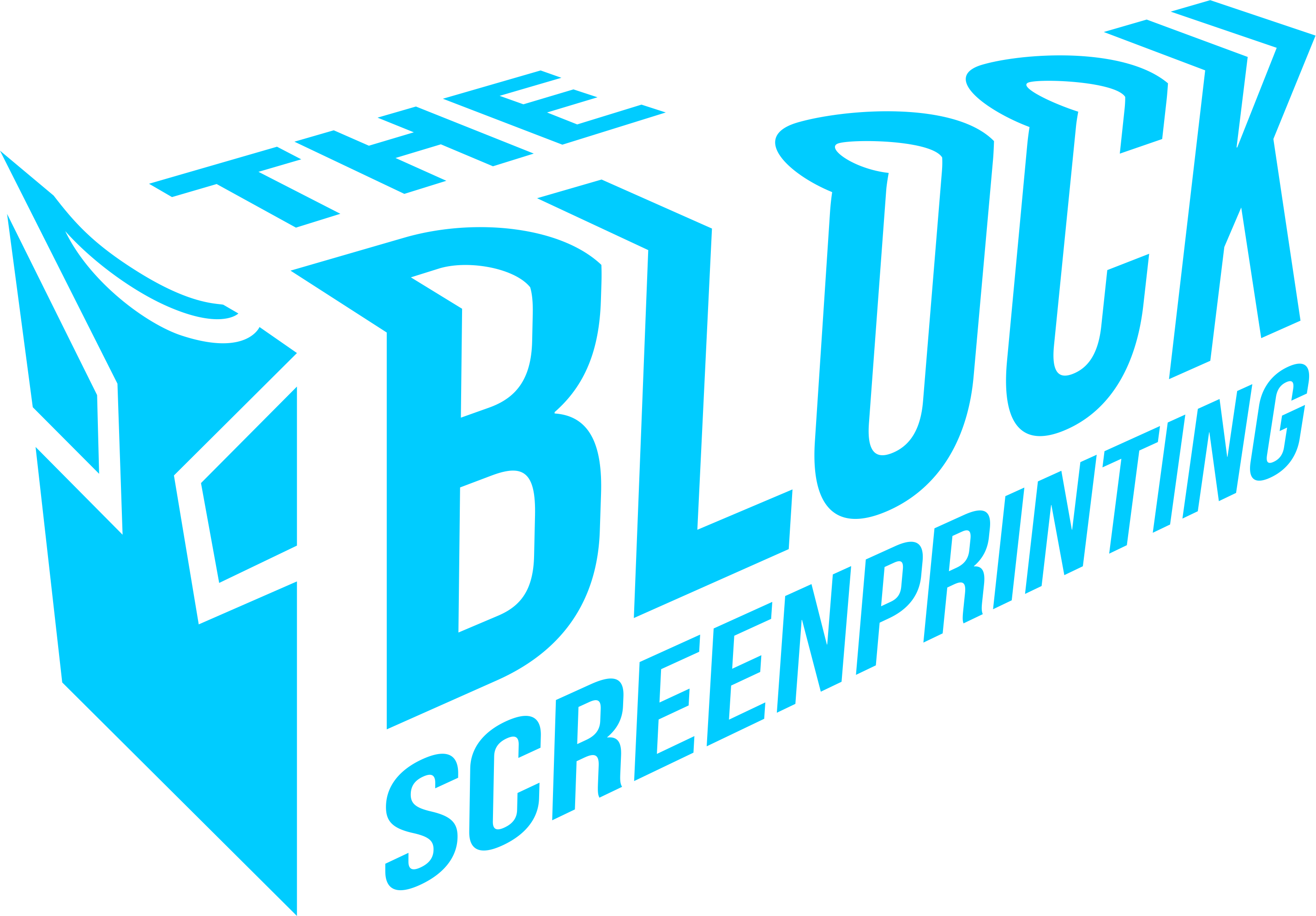 The Block Screen Printing