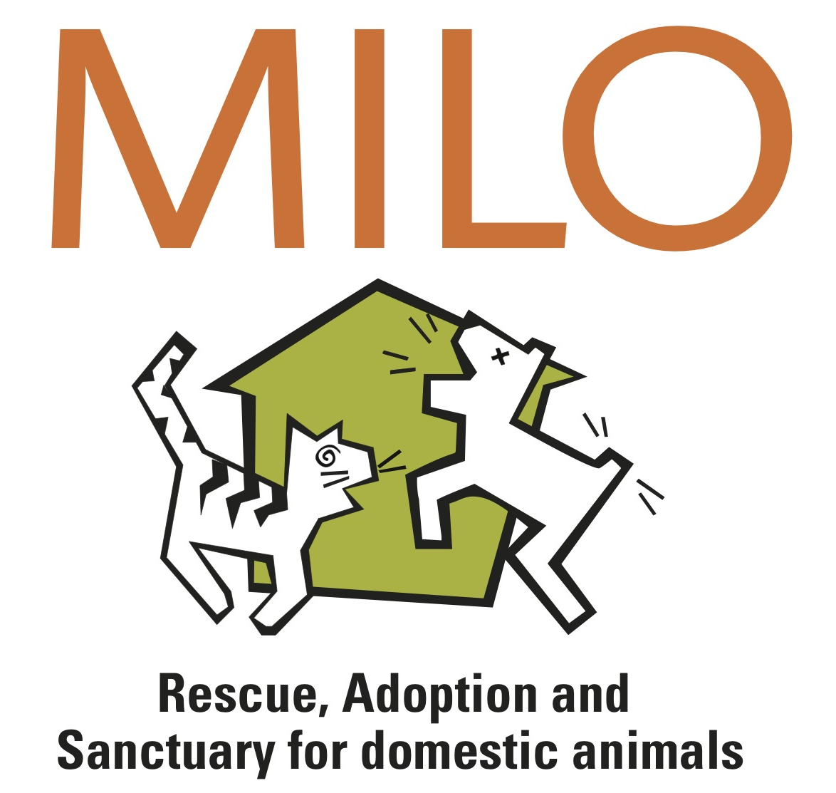 Milo Foundation store