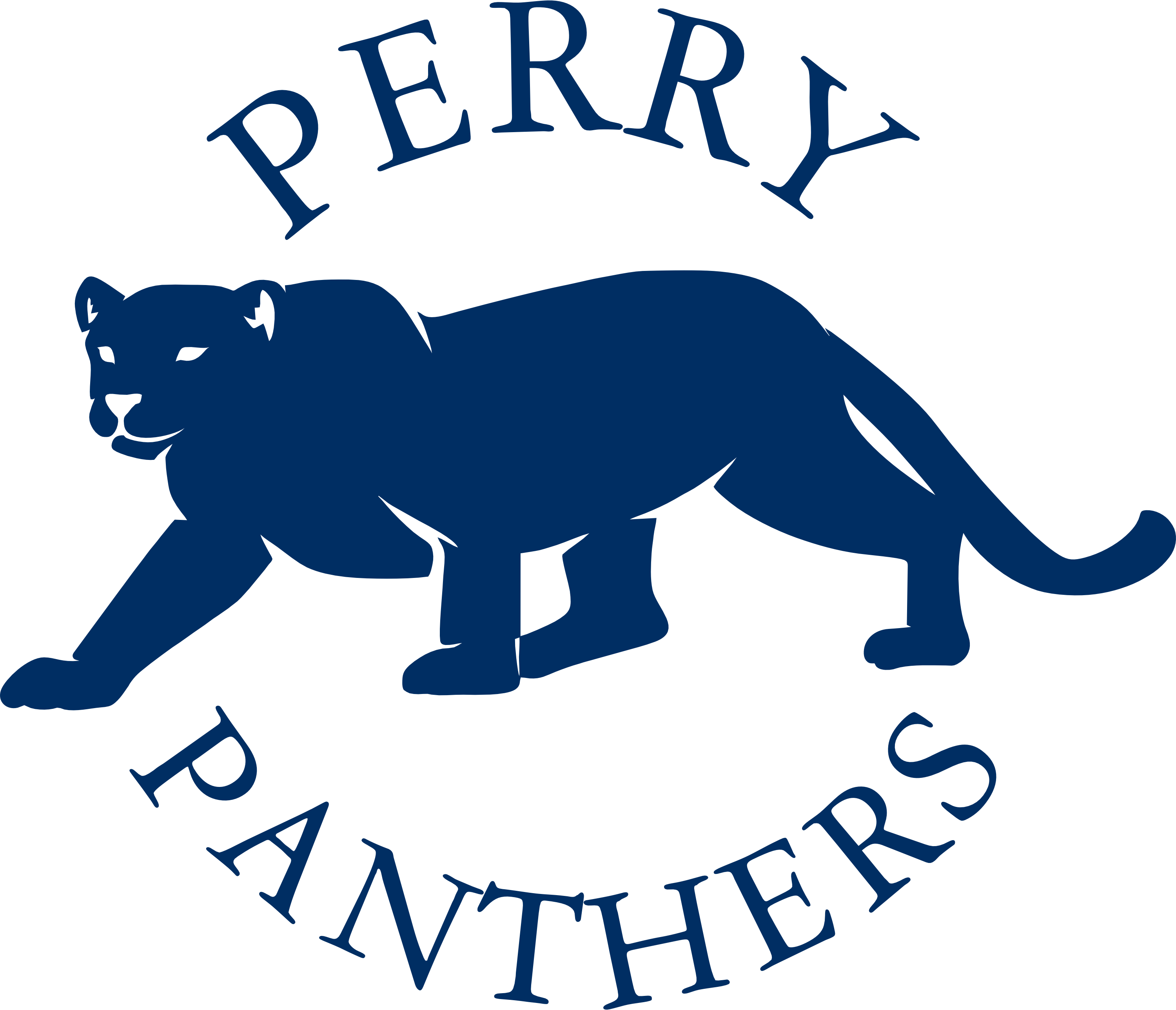 Perry Panthers